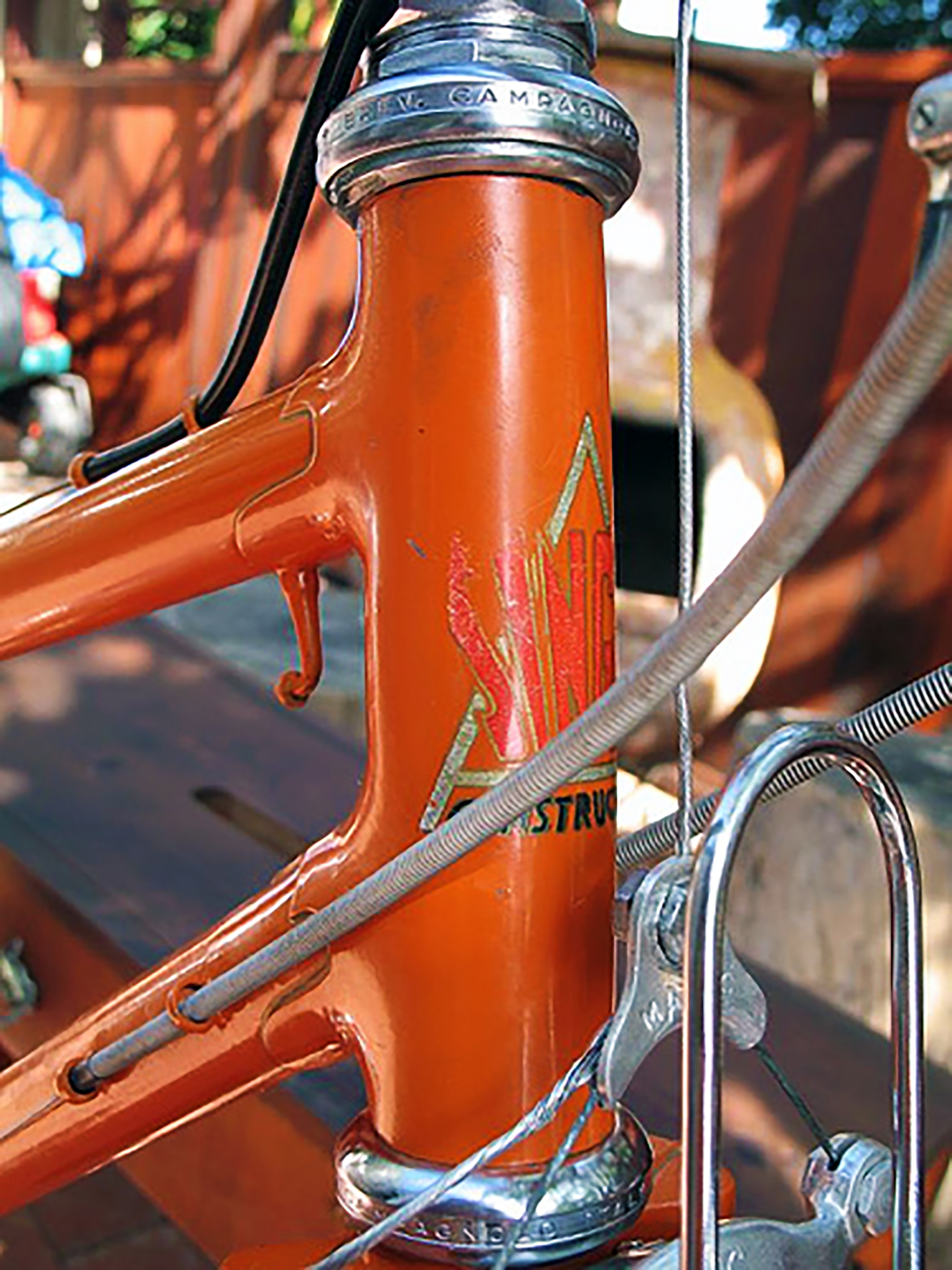 Cycles Alex Singer: Ageless Grace | Ebykr